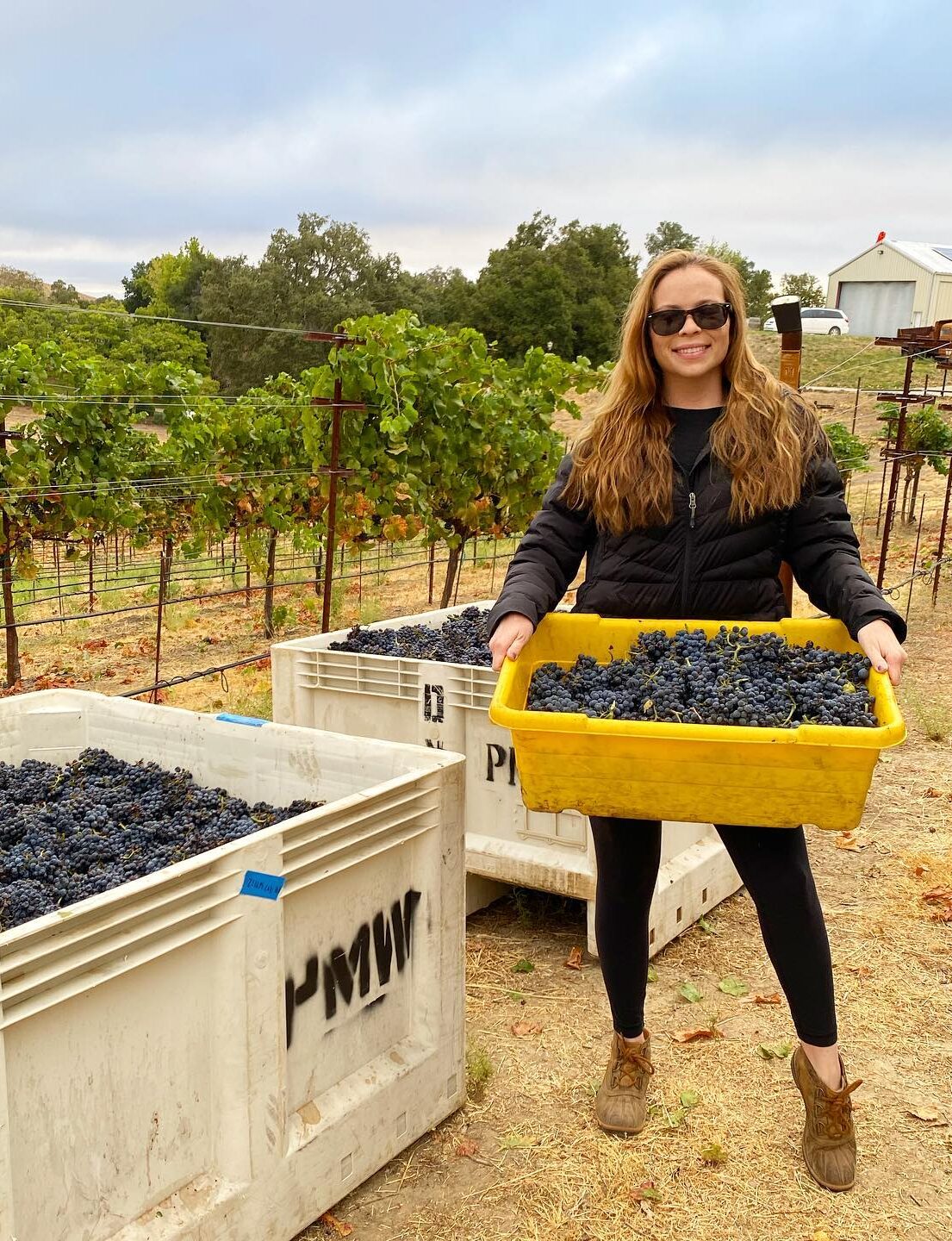 Our Story - Mission Peak Wine