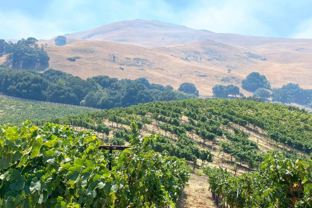 Host Your Event - Mission Peak Wine